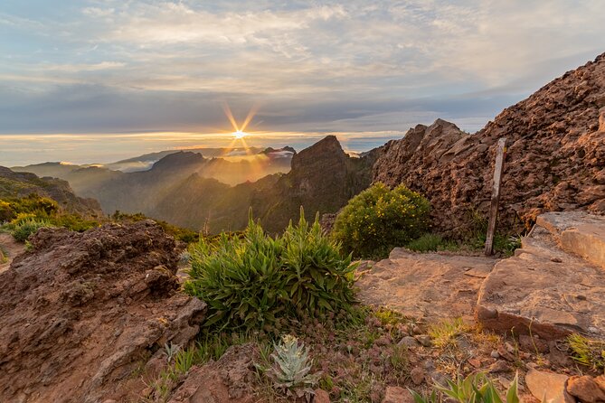 Heavens Tour: Sunrise, Sunset, or Stargazing in Madeira - Who Will Love This Tour?