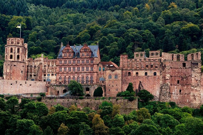 Heidelberg Public Walking Tour With A Professional Guide - An Introduction to Heidelberg’s Heartbeat