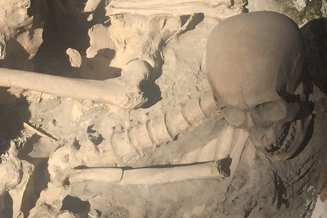 Herculaneum Private Walking Guided Tour 2 hours - Why You’ll Love This Herculaneum Tour