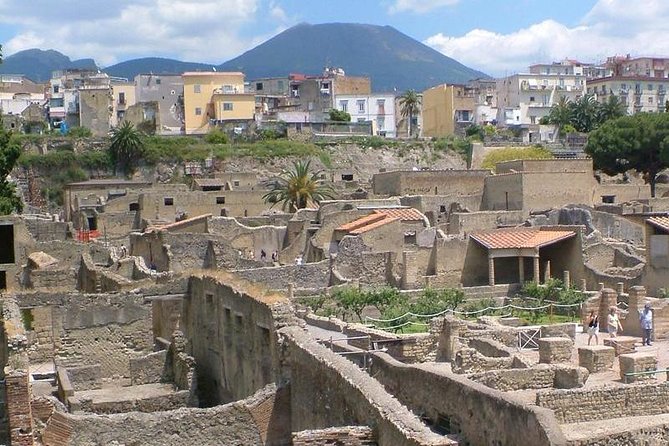 Herculaneum walking tour with a professional Guide - The Itinerary in Detail