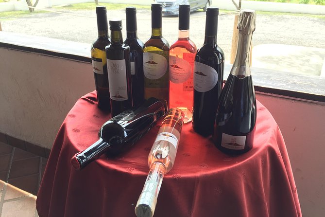Herculaneum-Wine tour from Sorrento, with licensed guide included - The Itinerary: A Day Well Spent in History and Flavors