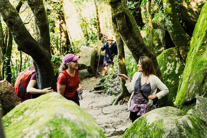 Hike in Sintra: Pena Palace, Moorish Castle, Quinta da Regaleira - Exploring Sintra’s Historical Center