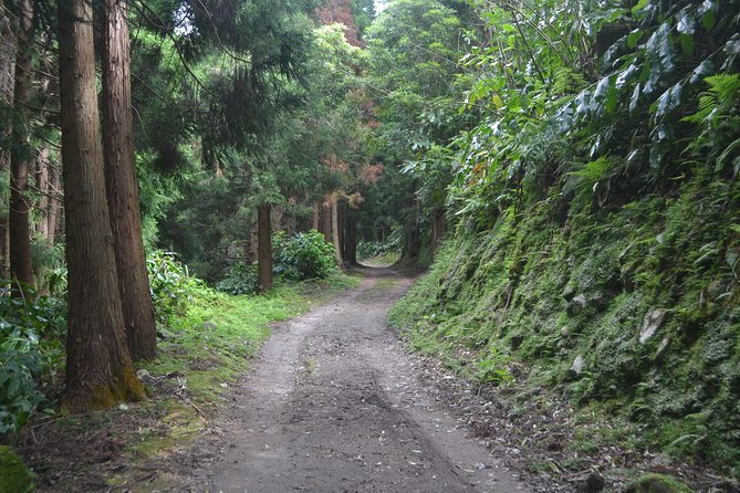Hike Lagoa do Fogo Trail - An In-Depth Look at the Lagoa do Fogo Hike