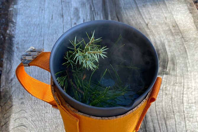 Hike with Wild Forage Surviving Tips and Local Lunch at the Lake - Exploring the Swedish Wilderness: An In-Depth Look