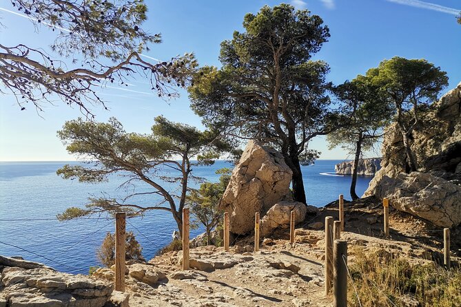 Hiking in the Calanques National Park from Marseille - An Introduction to the Calanques Hike