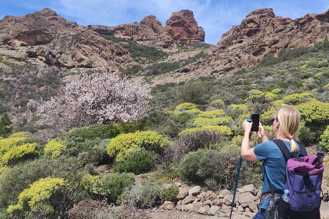Hiking in the Sacred Mountains of Gran Canaria: UNESCO - An Introduction to the Sacred Mountains Tour