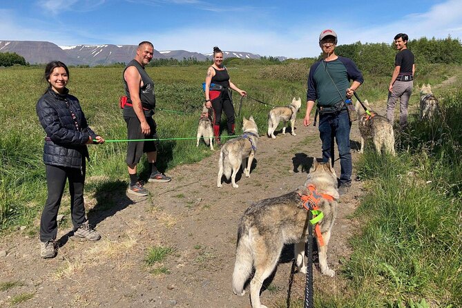 Hiking with Husky in Akureyri (private) - An Authentic Encounter in North Iceland