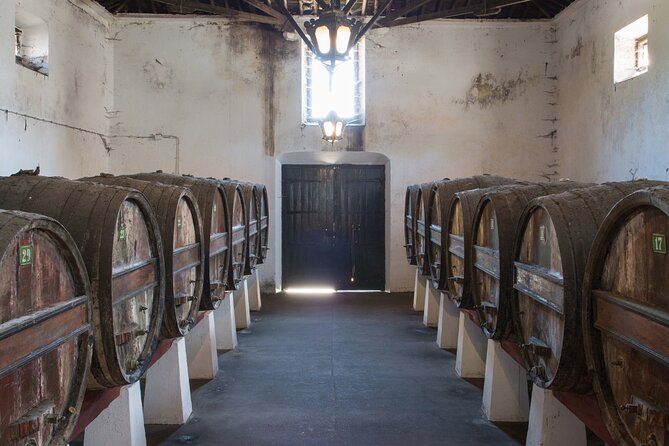 Historic Winery Tour and Tasting in Bombarral - Exploring the Heart of Portugal’s Winemaking Heritage