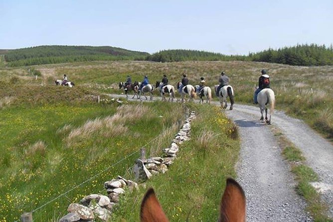 Horse riding - Burren Trail. Lisdoonvarna, Co Clare. Guided. 3 hours. - Key Points