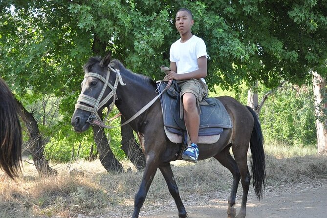 Horse Riding in Marmaris & Icmeler - An Authentic Ride through Turkey’s Countryside