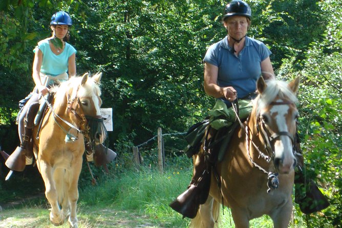 Horse riding in the French countryside - Key Points