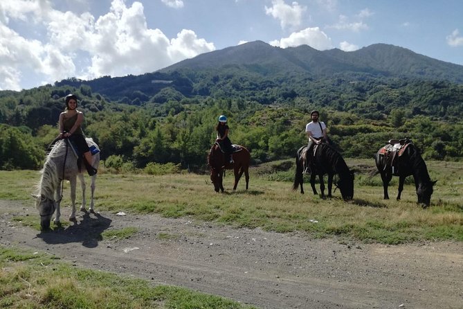 Horse Riding on Mount Vesuvius - A Genuine Insight into the Experience