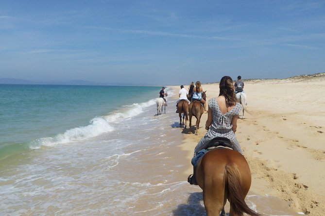 Horse Riding on the Beach Tour - The Details of the Horse Riding on the Beach Tour