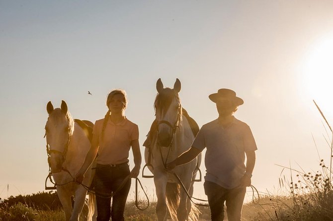 Horse Riding on the Beach - What to Expect from Your Horseback Ride in Portugal
