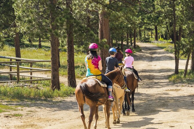 Horse Riding Tour in Marmaris - An Honest Look at the Marmaris Horse Riding Experience
