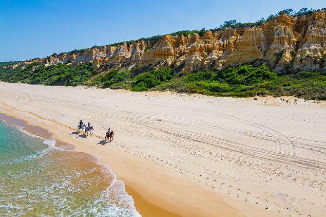 Horseback Riding, 4 Options-Mountain, Lesson Ring, Beach (2Hours) - How the Tour Is Structured