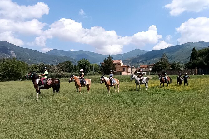 Horseback riding and aperitif 2 hours for beginners - What to Expect on the Tour