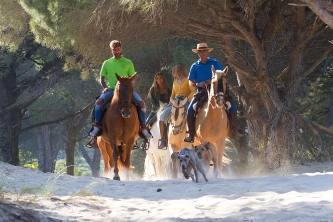 Horseback Riding by the beach or mountain in Tarifa, Spain - 1 to 2 hrs - Final Thoughts