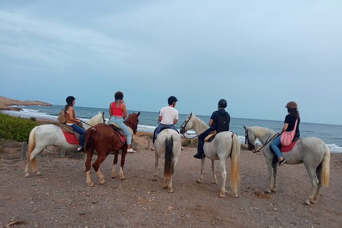 Horseback riding through the Calblanque Natural Park - The Itinerary in Detail