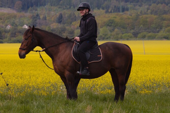 horseback riding tour in Prague - A Detailed Look at the Horseback Riding Experience in Prague