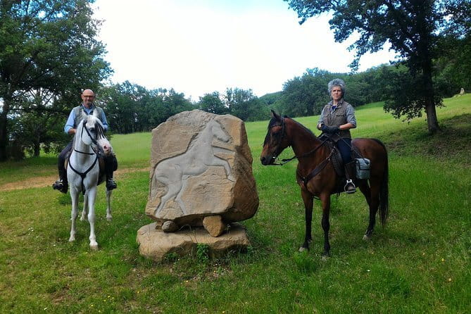 Horseback riding & Wine Tasting and snack Lunch at noble Estate - Who Will Love This Tour?