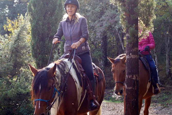 Horsemanship Experience - Starting at the Meeting Point: Comfort and Hospitality
