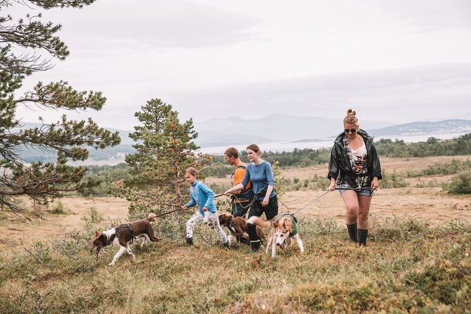 Husky Hike and Puppy Visit with Lunch - Who Will Love This Tour?