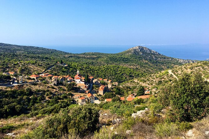 Hvar Lavender Tour - The Experience in Detail