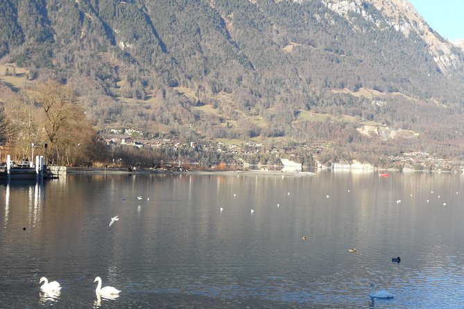 Interlaken Private Tour: Mountains Cows, Thun Lake, and Brienz Lake - The Scenic Route and Itinerary Breakdown