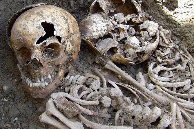 Irish Famine Museum / Exhibition Dublin - Whats Included and What’s Not