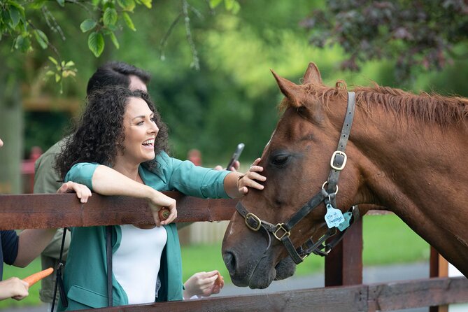 Irish National Stud & Gardens Skip the line Entrance - The Guided Tour: What to Expect