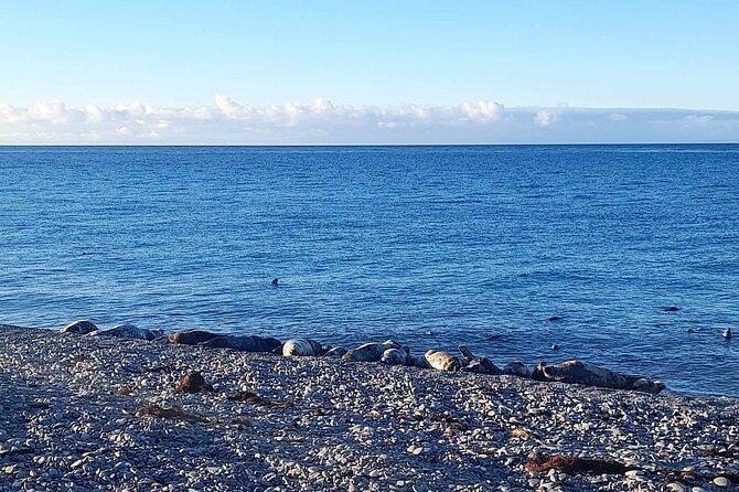 Isle of Man Wildlife & Scenic Adventure with Wildlife enthusiast - The Practical Side of the Tour