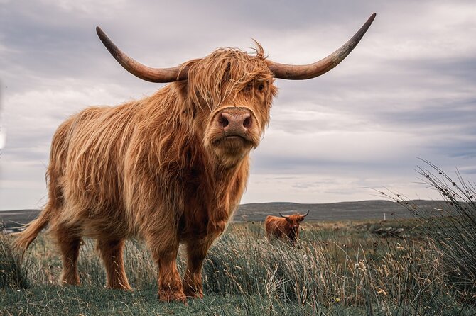 Isle of Skye Day Tour from Fort William - An In-Depth Look at the Itinerary and What to Expect