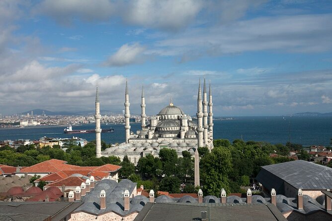 Istanbul Shore Excursion by TRAM: Half Day Private Tour from Port - Why This Tour Is a Great Choice