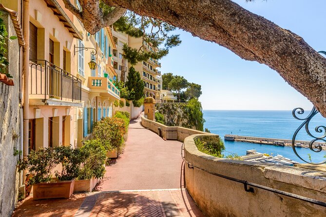 Italian Coast, French Riviera , Menton & Monaco Customizable Tour - An Overview of the Tour Experience