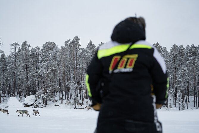 Ivalo: A Day in the Life of Reindeer Herders - The Itinerary In Detail