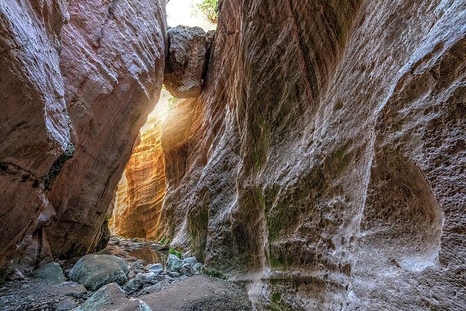 Jeep Safari to Akamas National Park: Avakas Gorge Tour from Paphos - Exploring the Itinerary in Detail
