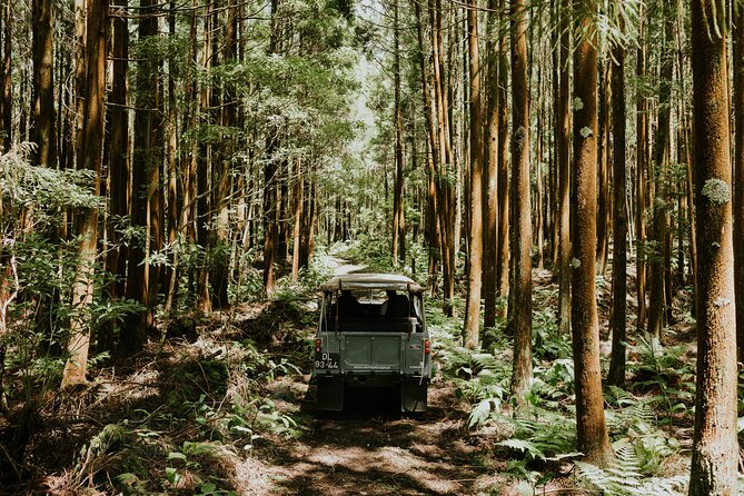Jeep Safari Tour - Terceira Island FD - The Full Day in Terceira: What to Expect