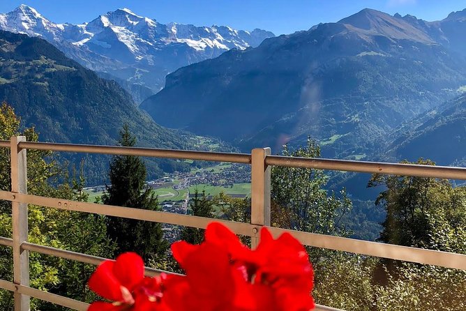 Jungfraujoch (Private Tour) - Why Choose a Private Tour to Jungfraujoch?