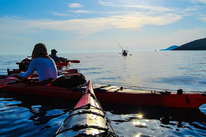 Kayak Adventure - A Well-Organized Day on the Water