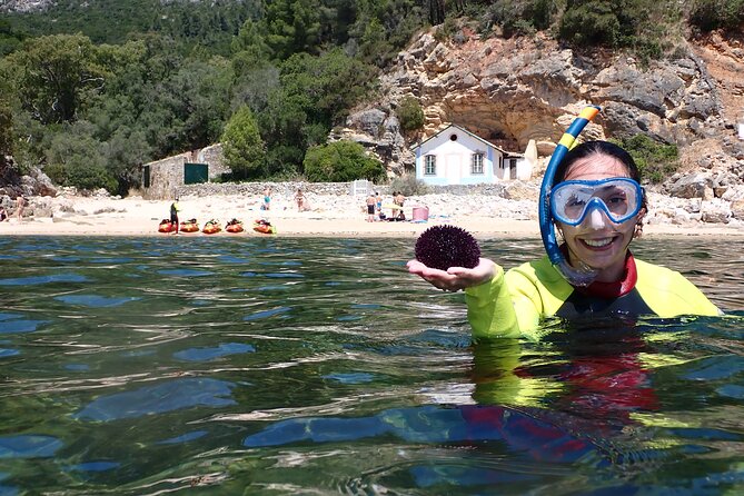 Kayak and Snorkeling Adventure in Arrabida - The Experience: What to Expect