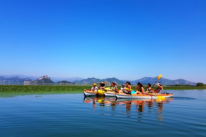 Kayak Guided Tour Skadar lake - Adventure in National park - What to Expect from the Skadar Lake Kayak Tour