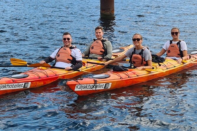 Kayak Tour in Copenhagen Harbor in May and September - What Makes This Kayak Tour Stand Out?