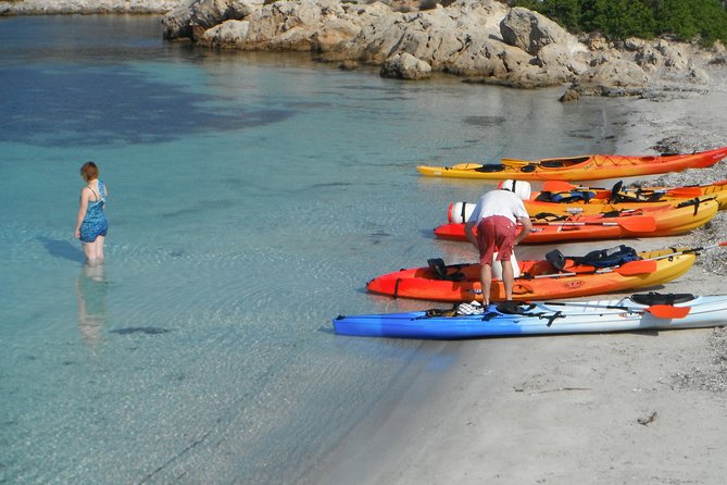 Kayak Tour in the Marine Reserve ! - An In-Depth Look at the Kayak Tour Experience