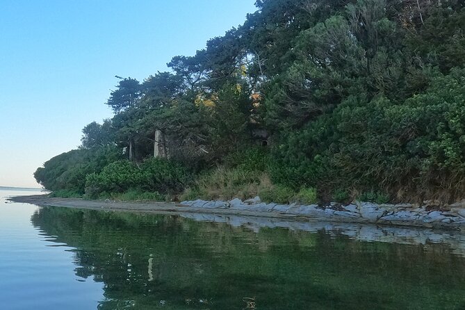 Kayaking at Narta Lagoon from Vlore - The Value of This Experience
