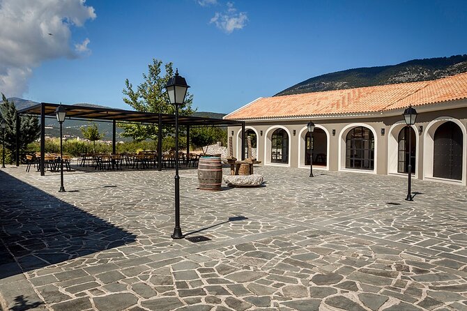 Kefalonia Wine Adventure in 3 Wineries With Tastings - An Overview of the Kefalonia Wine Tour Experience
