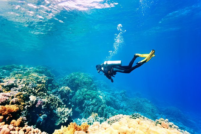 Kemer Scuba Diving Experience - An In-Depth Look at the Kemer Scuba Diving Experience