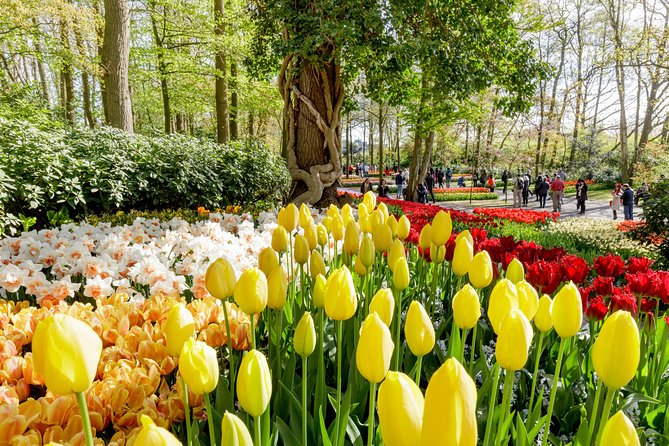 Keukenhof, Flower Fields, Volendam and Zaanse Schans Small-Group Tour - The Garden of Spring: Keukenhof