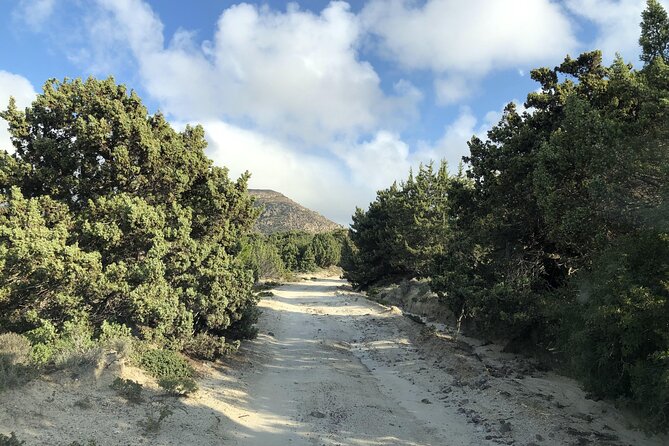 KGS02.Off the Beaten Track Tour in Kefalos & Cavo Paradiso - Valuing the Price: Is It Worth $154.76?
