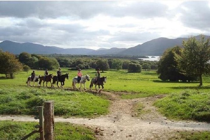 Killarney National Park Horseback Ride. Co Kerry. Guided. 1 hour. - An Experience Designed for Nature and Connection